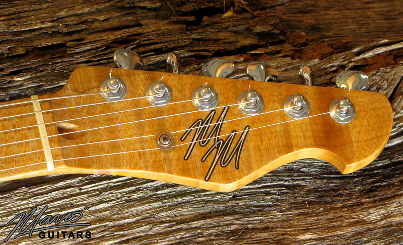 Mario-Guitars-T-Master-5.-L.jpg
